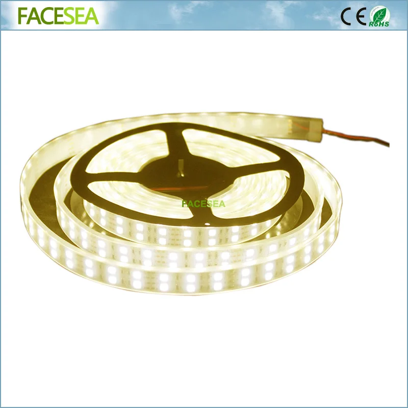 5M Double Row LED Strip SMD5050 Waterproof Flexible Light 120LEDs/M DC ...