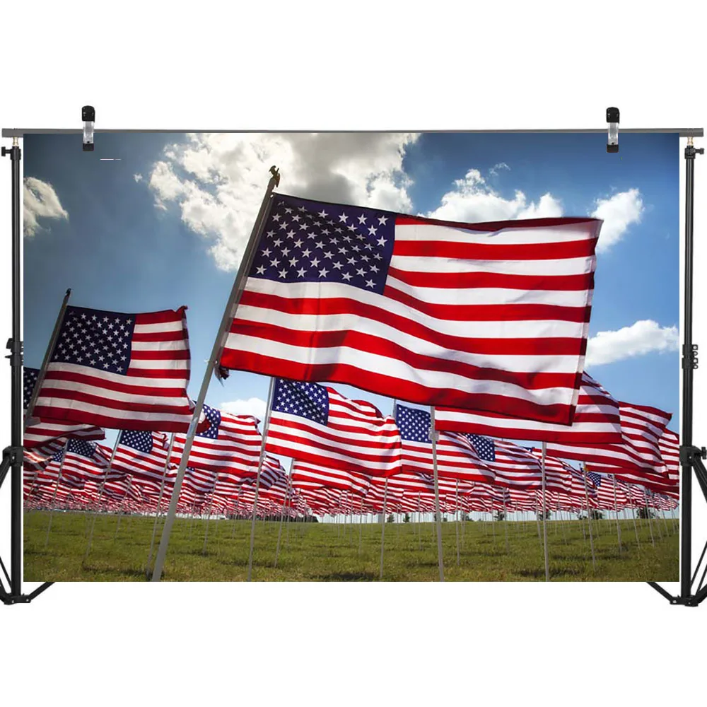 American Flag Backdrop Independence Day Photography Background Lawn ...