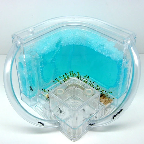Jelly Ant Farming Material