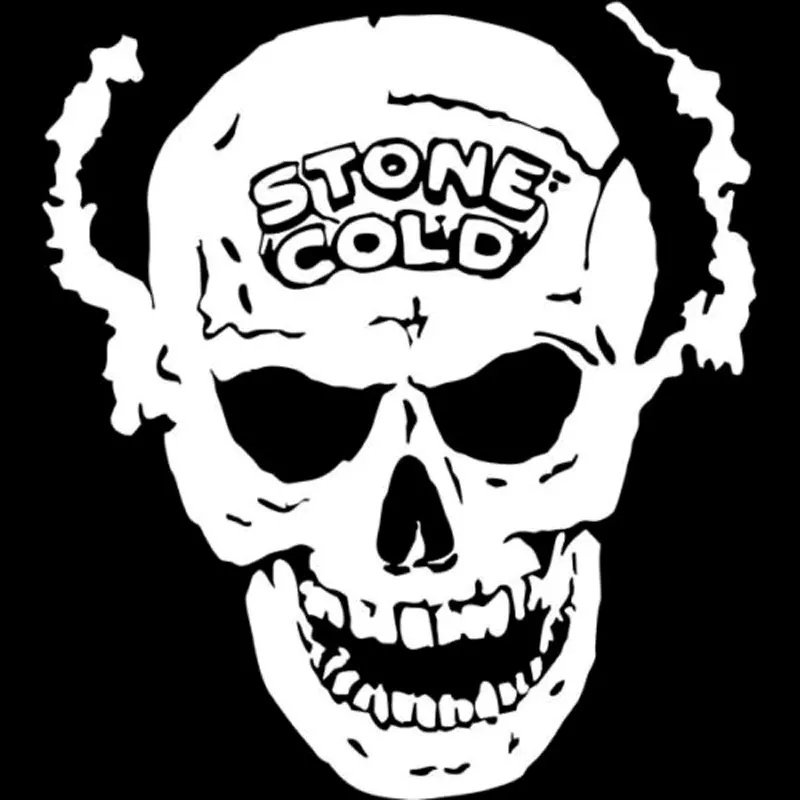 Stone Cold Skull