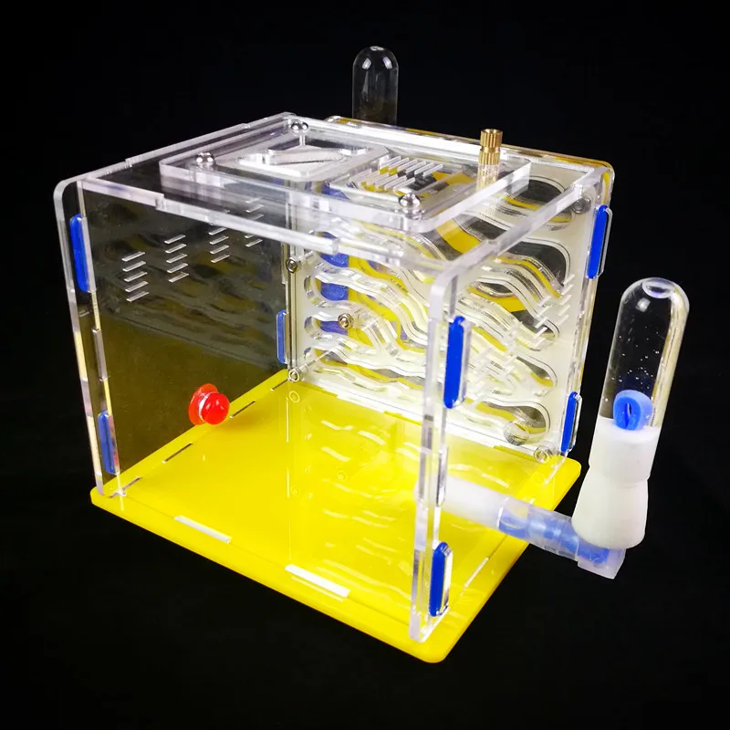 Ant Nest A1 Ant Farm Acrylic Insect Cages With Water Feeder Kids ...