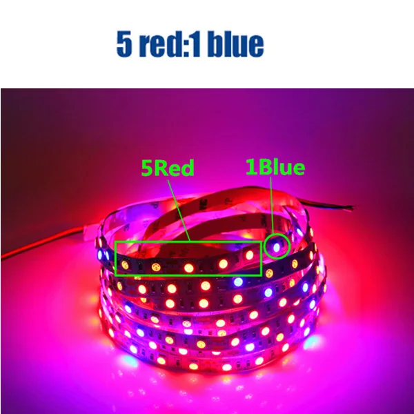 LED Red and Blue Grow Strip Lights - Growing in My Box