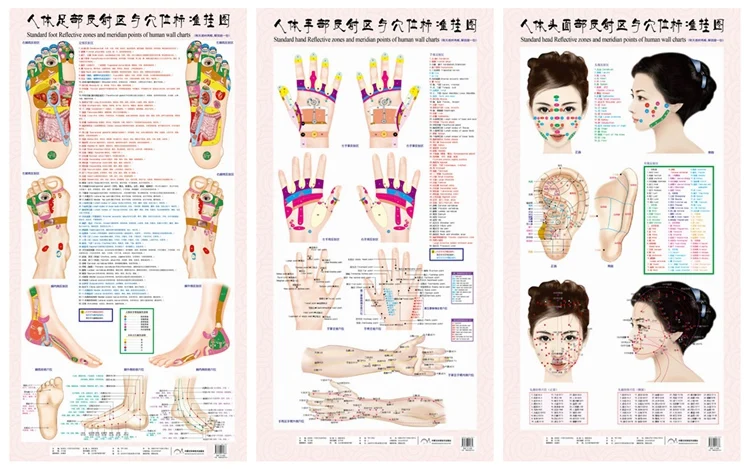 Standard Foot Reflective Zones And Meridian Points Of Human Wall Charts ...