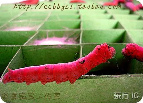 Color-silkworm-silkworm-silkworm-feed-pet-feed.jpg
