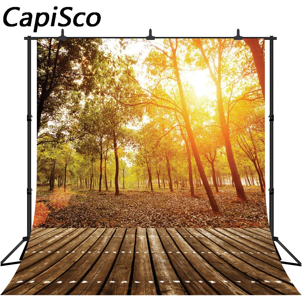 Capisco Park Photography Backdrop wooden walkway Fallen Leaves Fall ...