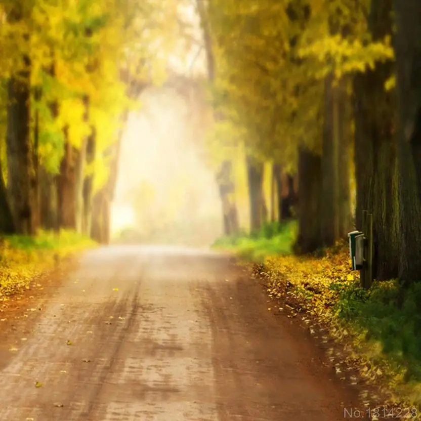 3x5FT Customize Backdrop Background Autumn Park Trees Road Leaves ...