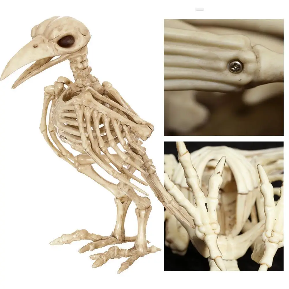 Aliexpress.com : Buy Halloween Crazy Bone Skeleton Raven 100% Plastic ...