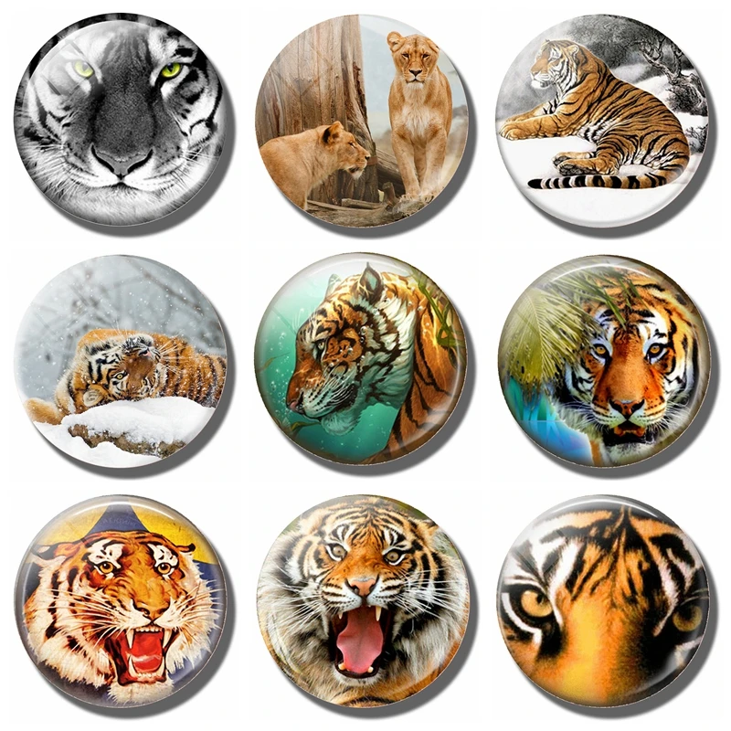 Kitchen Décor Tiger Magnet White Tiger Fridge Magnet Kitchen Art ...
