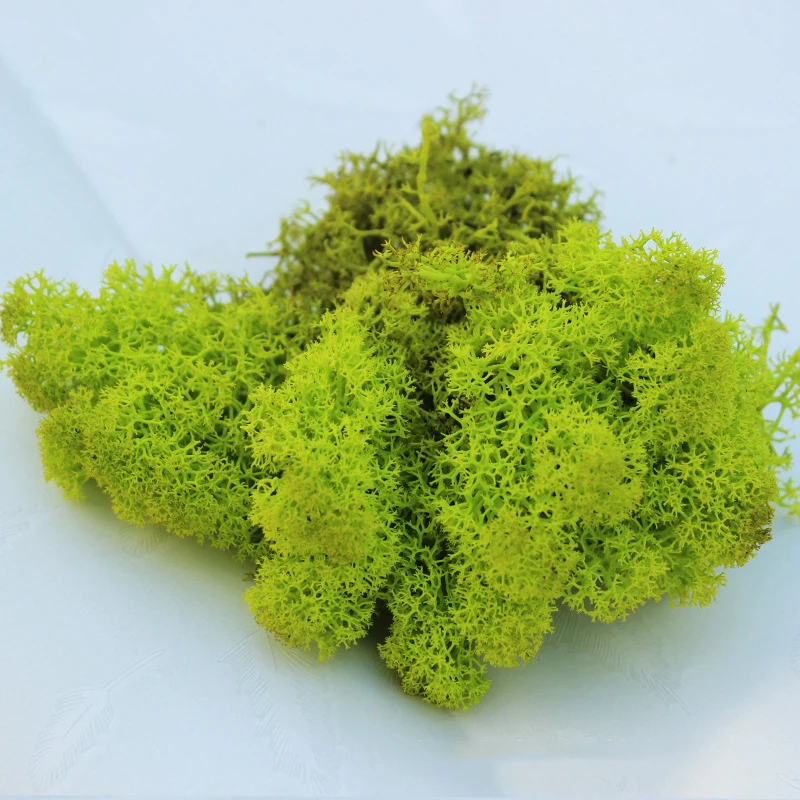 Online kopen Wholesale veenmos uit China veenmos Groothandel ...