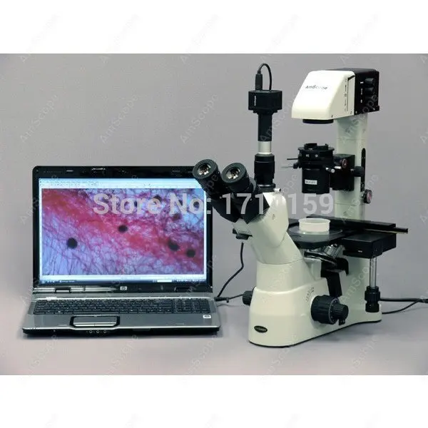 Jual Inverted Microscope-AmScope Supplies40X-1500X Phase Contrast ...