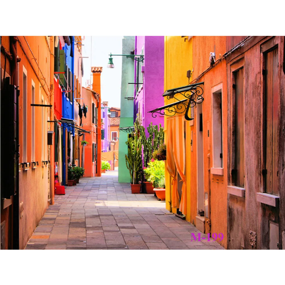 LB European Town Colored Residential Alley Custom Vinyl Backdrops ...