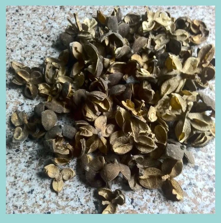 200g 100% Natural Dendrobe Orchid Plants Growing medium/Fertilizer Long ...