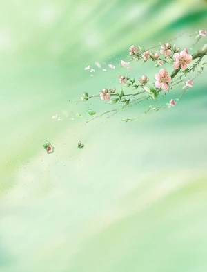 1.5(W)x2(H)m Nice Digital Printing Background Promotion 5x6.5ft Vinyl ...