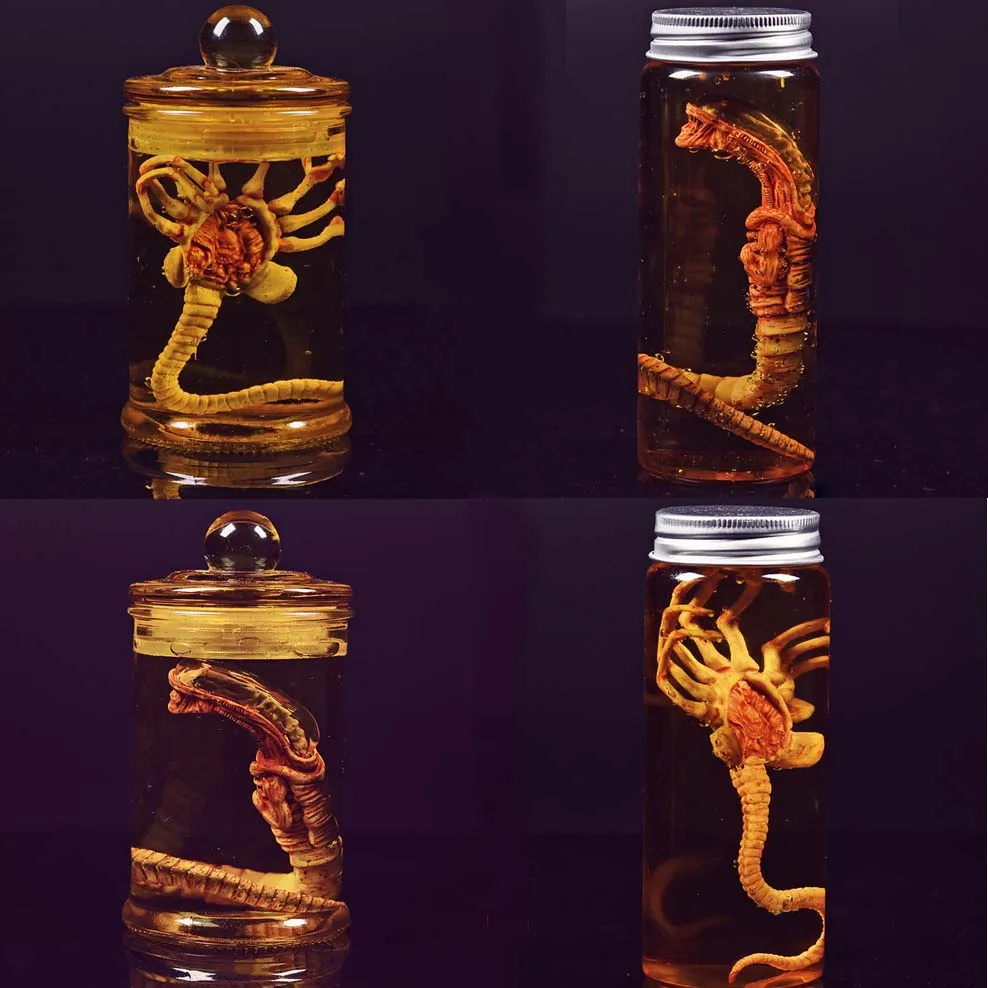 1-6-Scapredator-Alien-Predator-Alien-Larva-Face-Bug-Facehugger ...