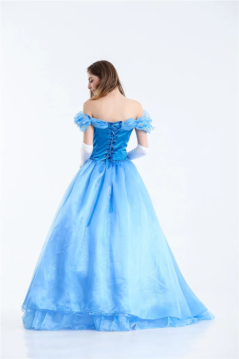 Adult Cinderella Costume