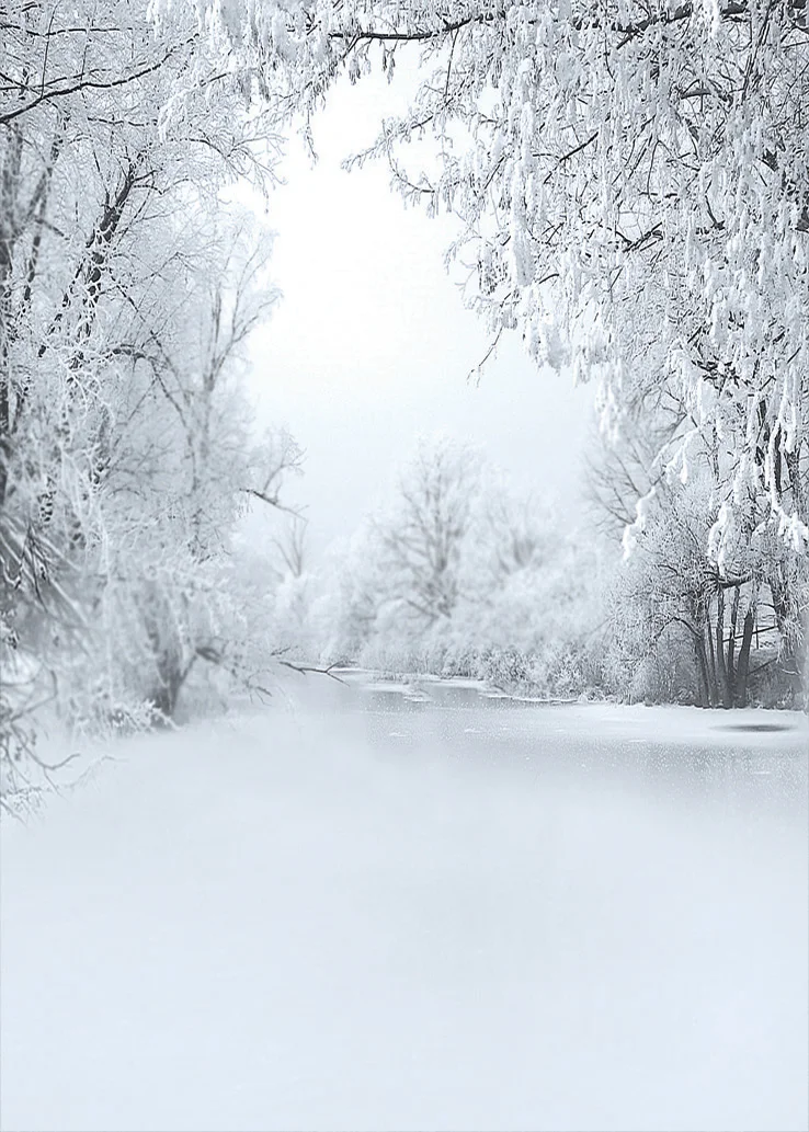 Snow-background-5x7ft-Photography-backdrops-for-photo-studi-Photo ...