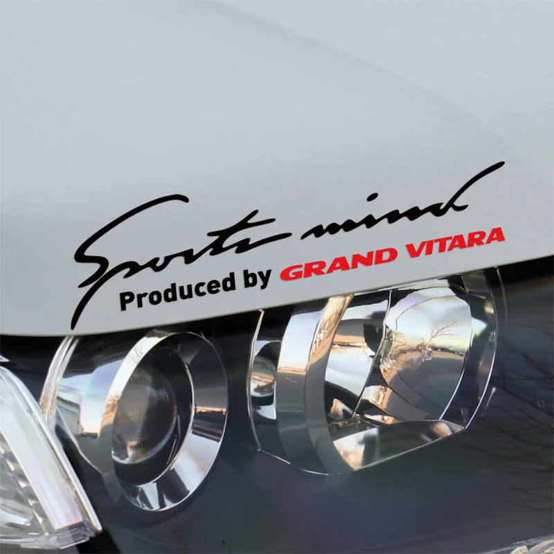 Customization Sport Car Covers Car Stickers Decal Car Styling For ...