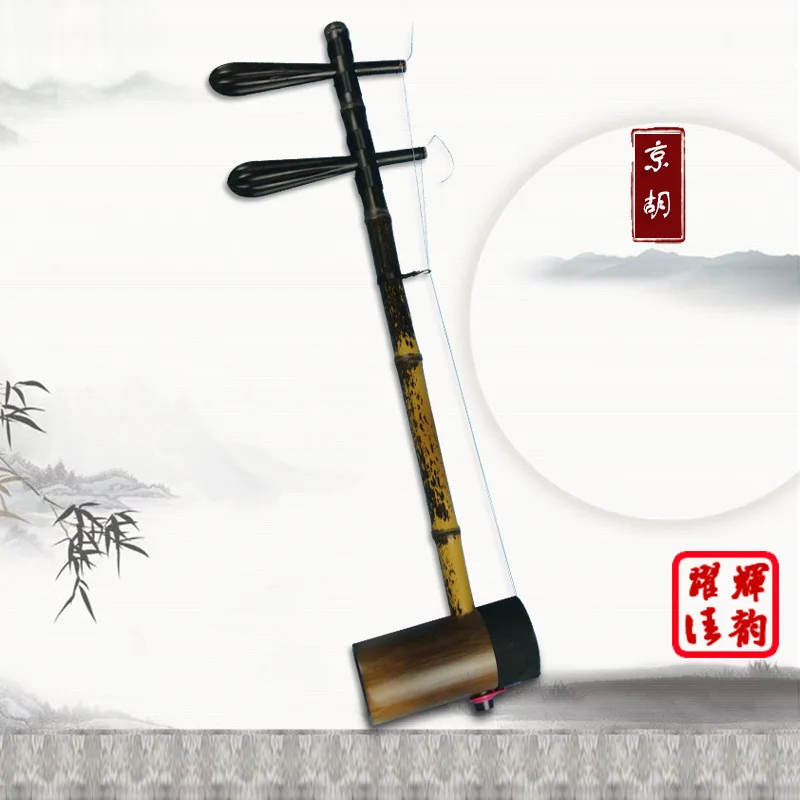 Hand Made Chinese Erhu Famous Brand Exclusive Engraved Code Musical