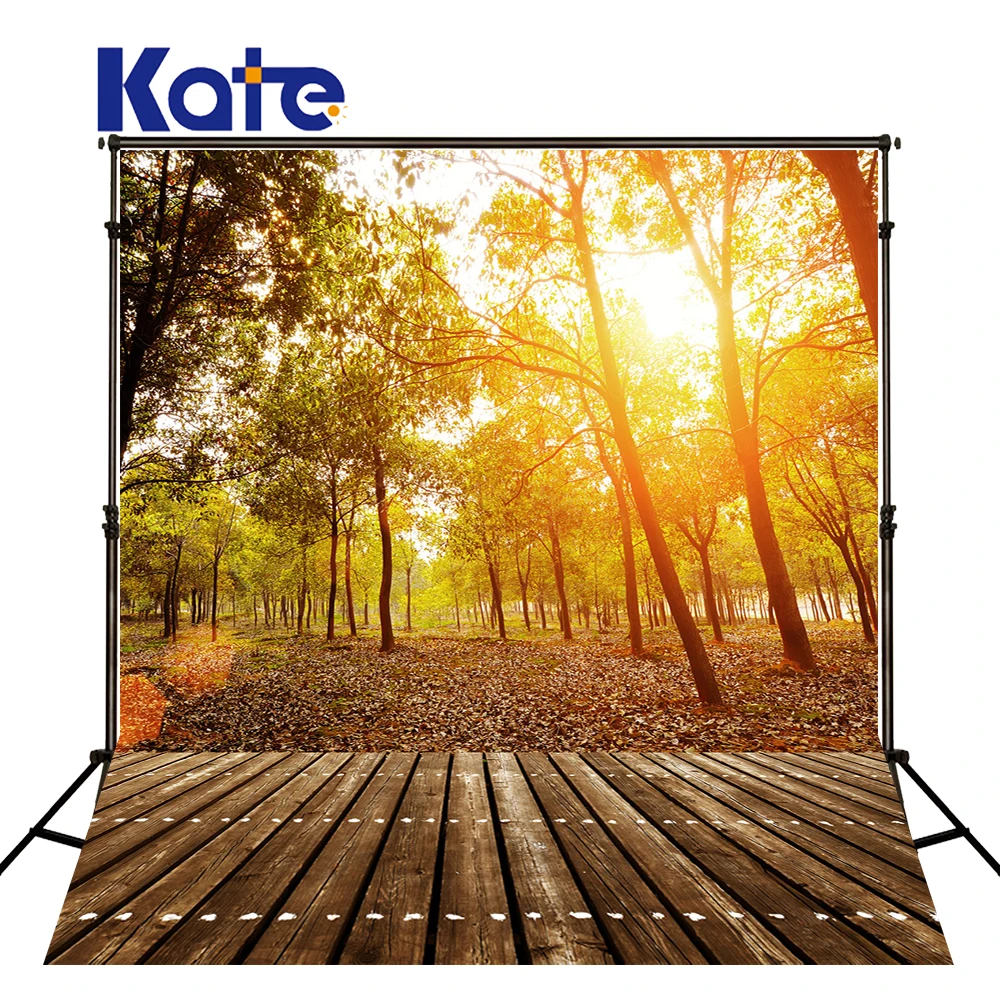 Kate Spring Photography Backdrops Sunny Forest Background Wood Field ...