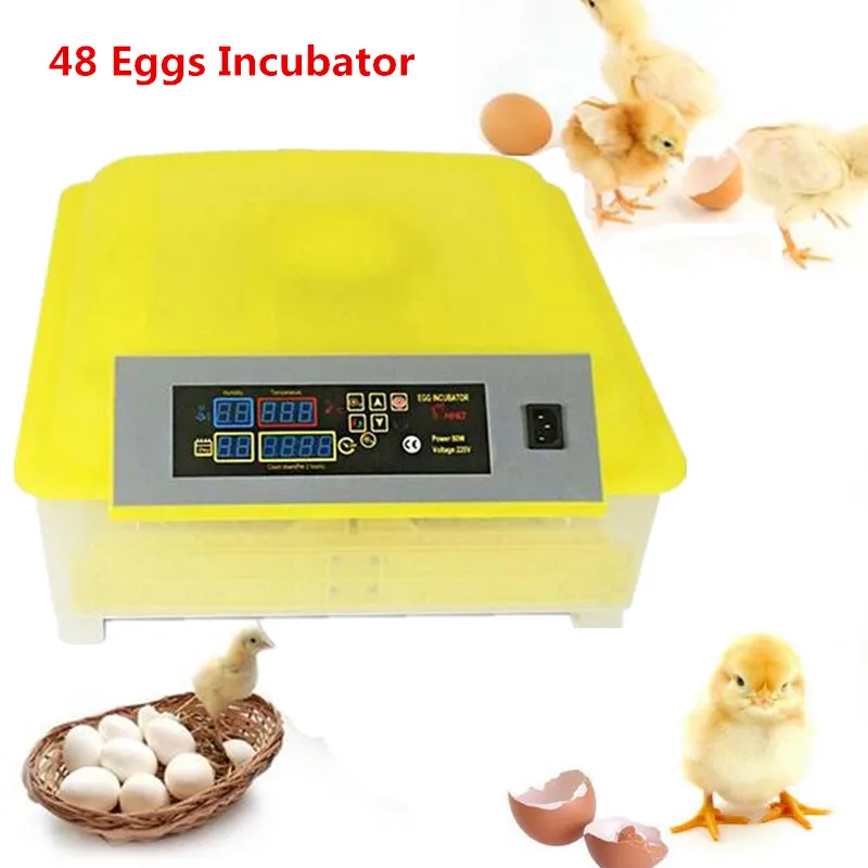 Mini multifunctional poultry incubator small digital auto hatcher 48 ...