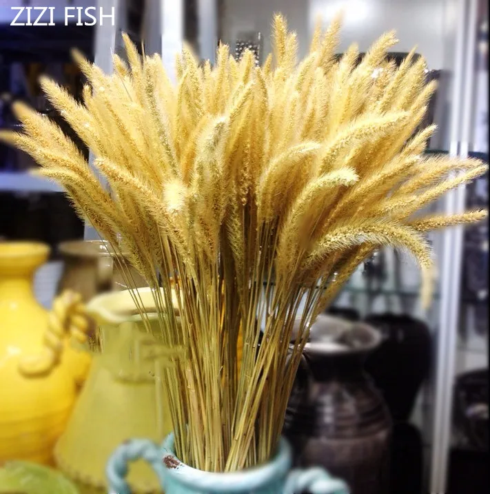 50 piezas de trigo seco sorghum panicle caña foxtail granola barras Po ...