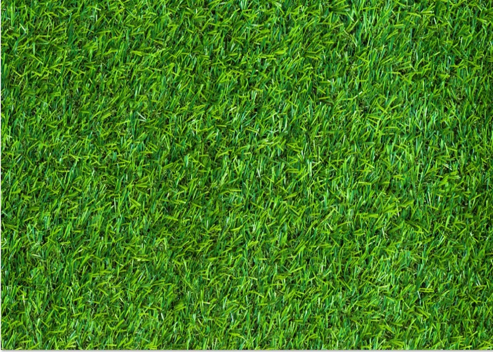 7x5FT-Solid-Green-Grass-Leaves-Meadow-Lawn-Custom-Photo-Studio ...