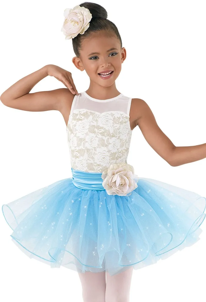 lace Roses Ballet Tutu Dress Pink Blue Professional School Student ...
