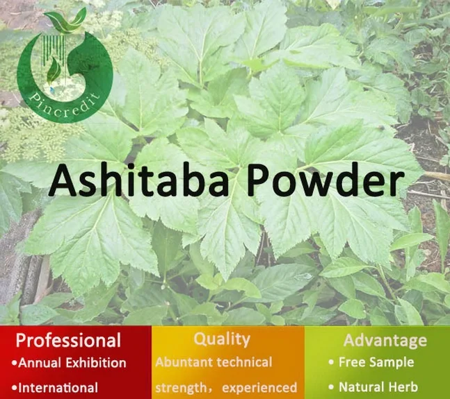 500g package High quality 4:1,10:1 ashitaba extract/ashitaba plant ...
