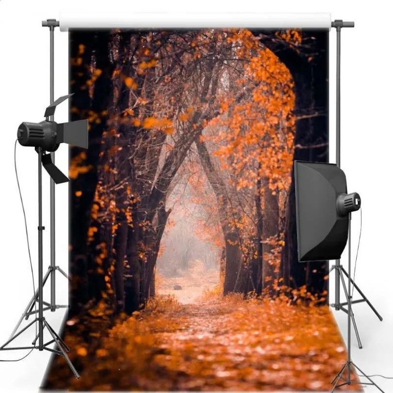 Autumn Falling Fall Leaves Trees Scene photo studio background Vinyl ...
