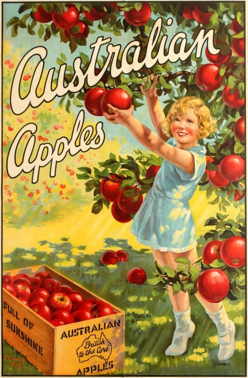 Retro Advertising Posters AUSTRALIAN APPLES Ads Classic Wall Stickers ...