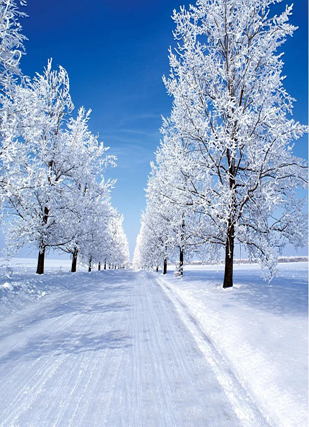 200CM*150CM snowflake backdrop Winter Snow Christmas wedding ...