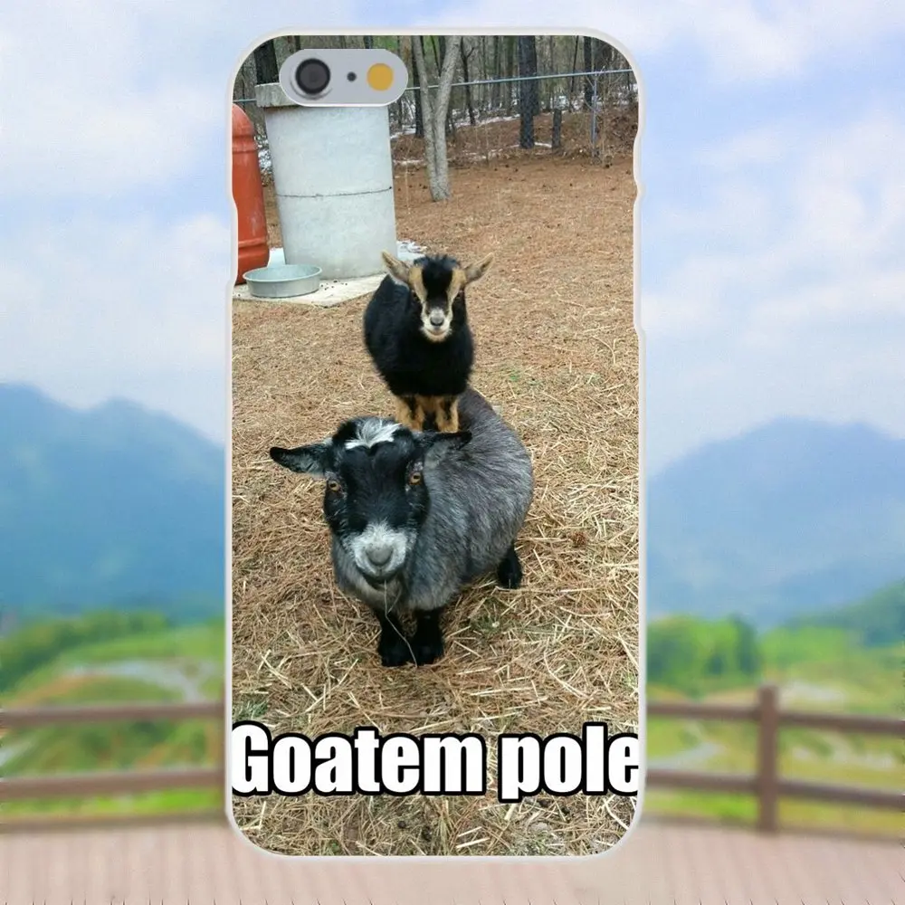 High Goat Meme