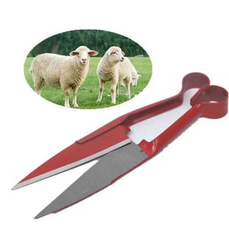 High Quality 12" Shear Wool Shearing Sheep Clippers Sheep Wool Scissors ...