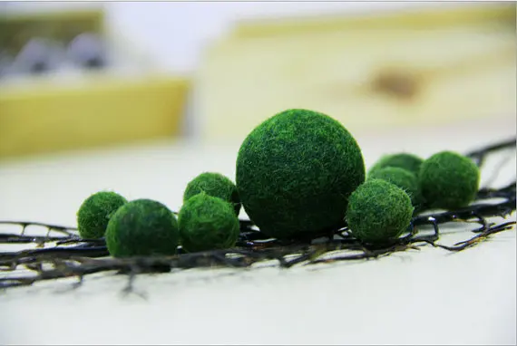 1 Japanese Marimo Moss Ball,Live Aquarium Aquatic Plant for Terrarium ...