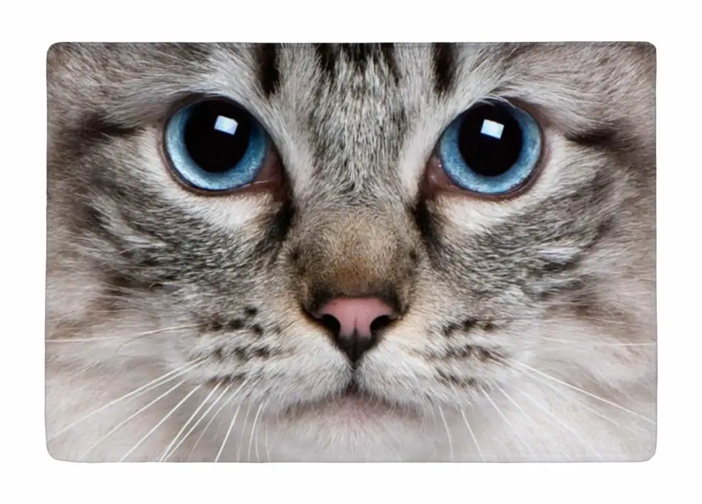 Floor Mat Big Cute Cat animal Face Print Customized Non slip Rugs ...