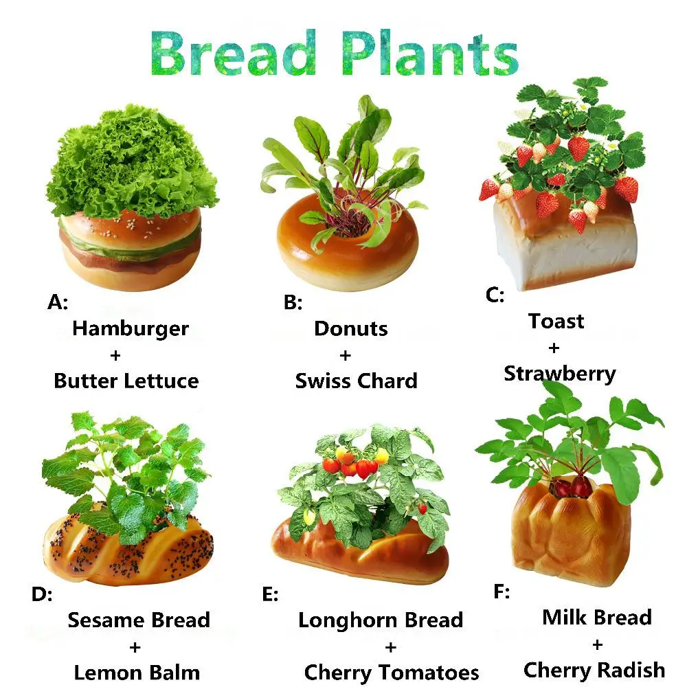 Plants and you at emaze Presentation