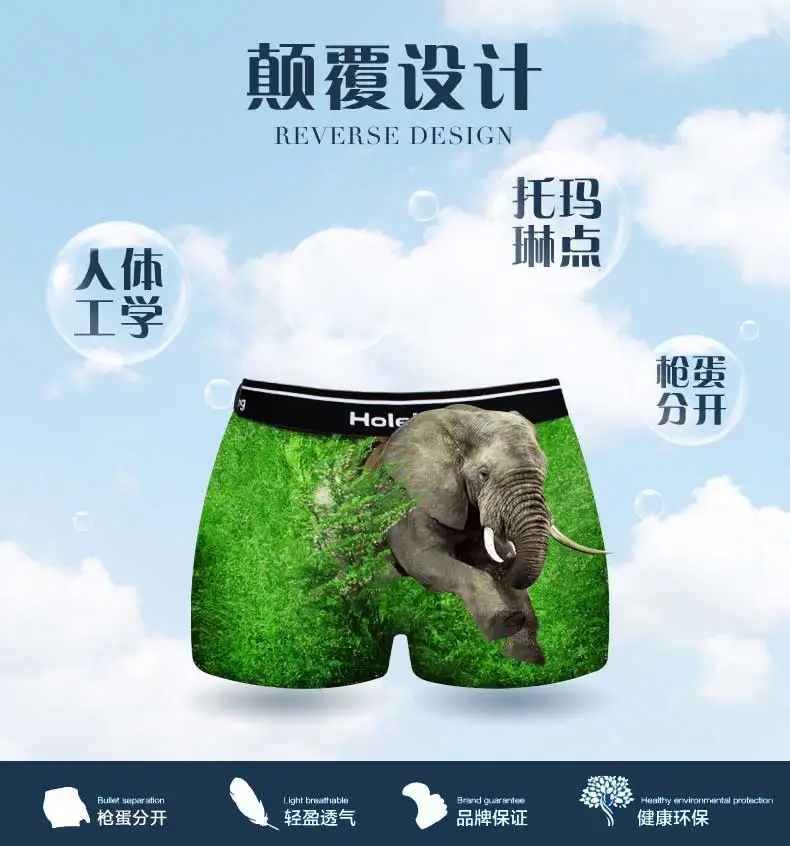 Venta > bóxer elefante > en stock