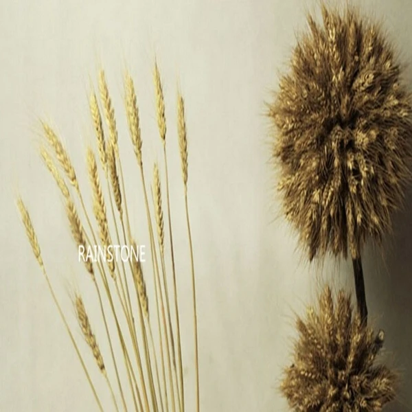 60cm 100pcs Natural Real Artificial Wheat Dry Flower Wedding Home Decor ...