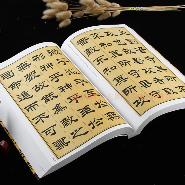 Chinese Calligraphy Book Clerical Script Li Shu Thousand Character Shu ...