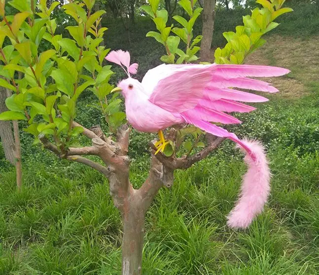 Real Phoenix Bird Pictures