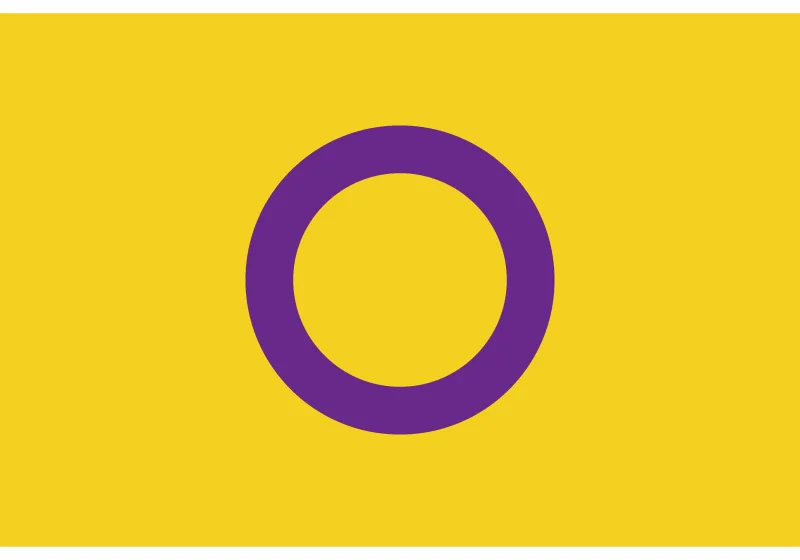 Intersex Pride Flag (90 x 150 cm) - Queerks™