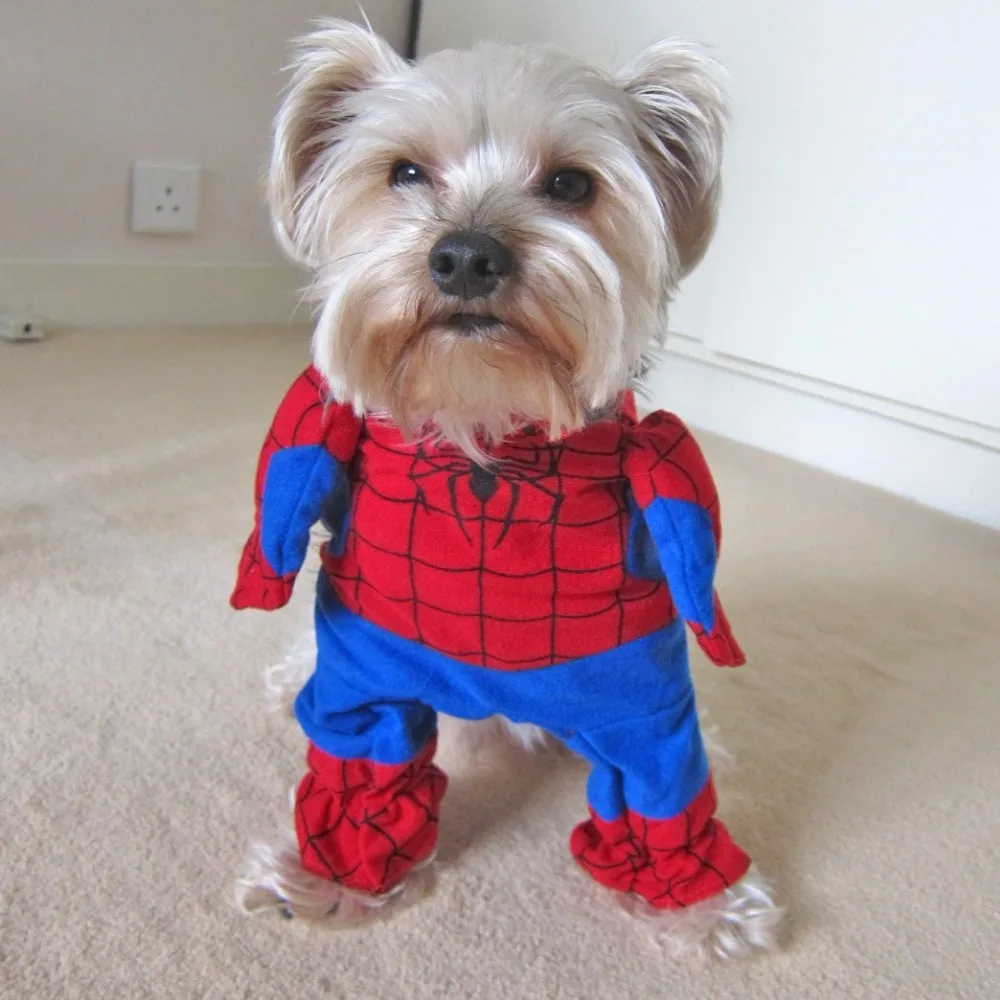 Aliexpress Buy Pet Dog Costume Suit Apparel Cat Clothes From aliexpress-buy-pet-dog-costume-suit-apparel-cat-clothes-from