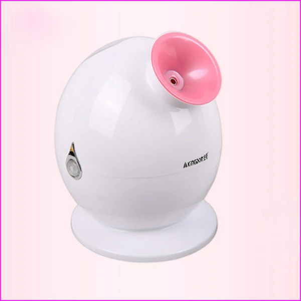 Beauty Care Kingdom Hot Mist Humidifier Thermal Sprayer Moisturizing ...