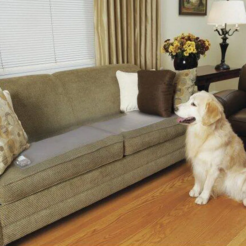 How Do You Keep Dogs Off The Couch