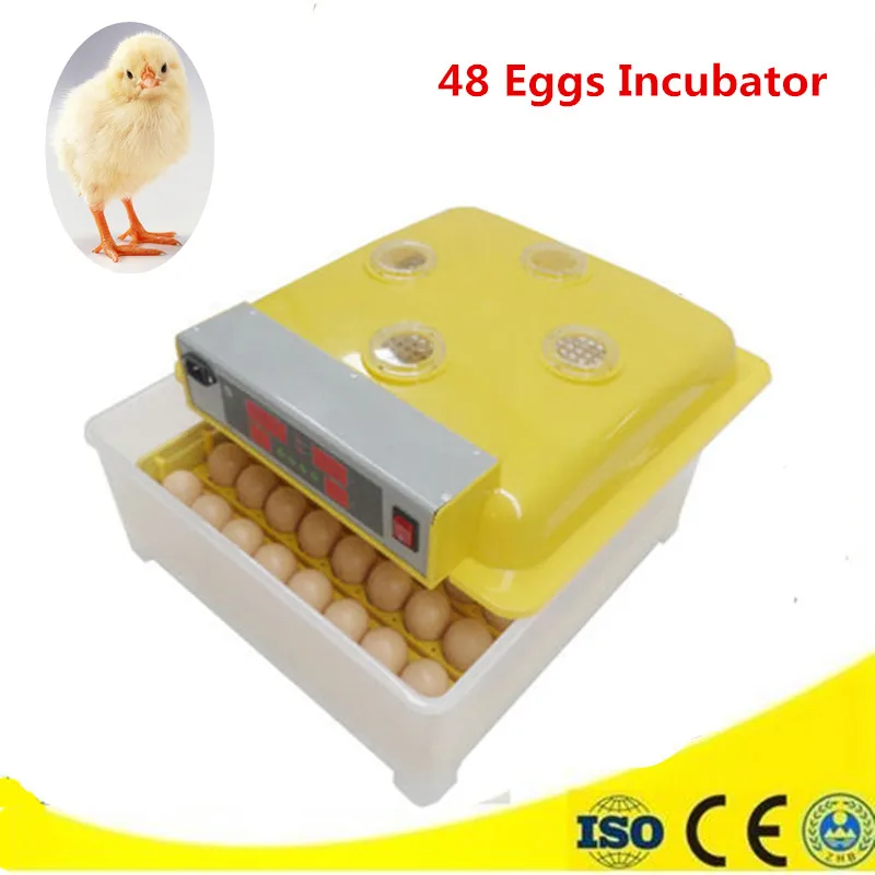 Digital Temperature Hatchery 48 Egg Incubator Hatcher for Chicken Duck ...