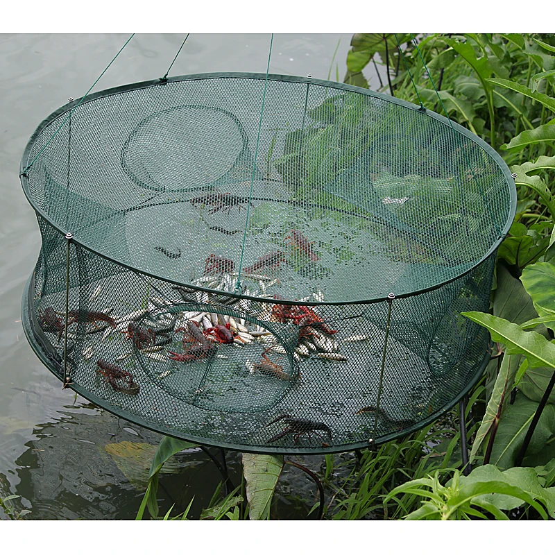 Stainless steel cage shrimp fishing nets catch lobster fish and eel ...