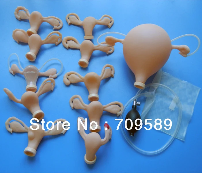 ISO HR/F35 Advanced Gynecological Examination Simulator, Pelvic ...