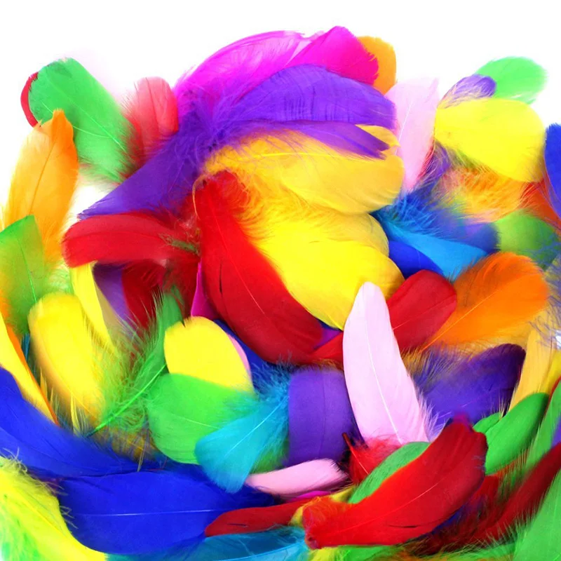 WXBOOM 300 Pcs Colorful Feathers for DIY Craft Wedding Home Party ...