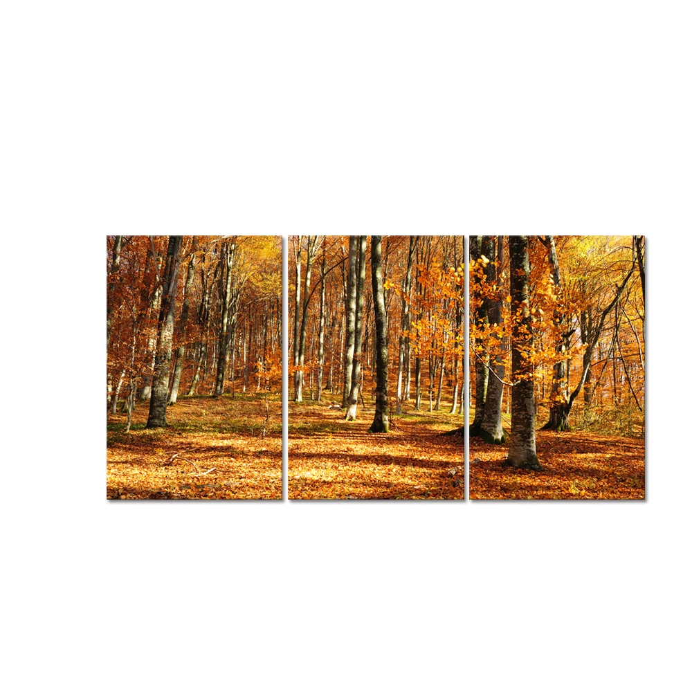 Visual Art Decor Golden Forest Photo Canvas Prints Nature Scenery ...