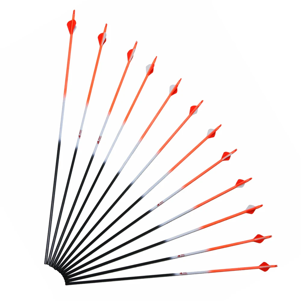 New Carbon Arrow 12pcs 30" Archery Arrows Changeable Arrowheads Plastic ...